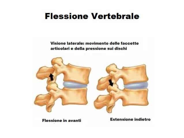 Protrusione Discale: Sintomi, Cause e Trattamenti