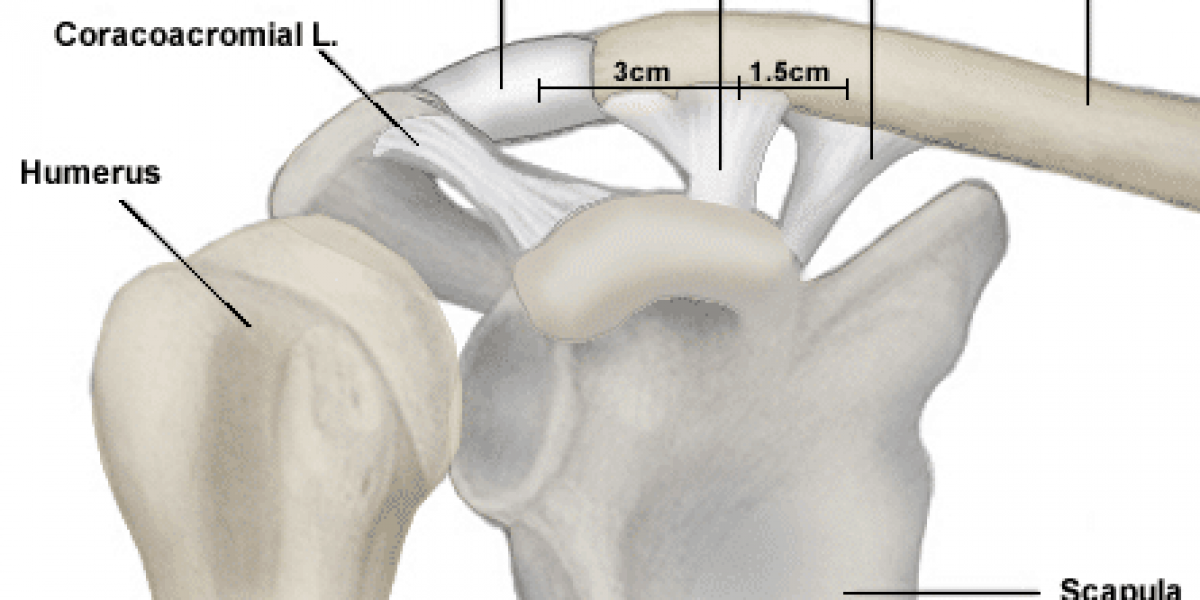 Acromion Claveare: Patologie, Diagnosi e Cura - Cervicale Vertigini